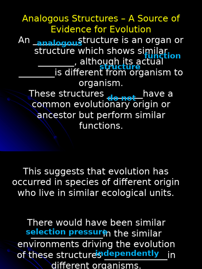 Analogous Vestigial | PDF | Marsupials | Evolutionary Biology