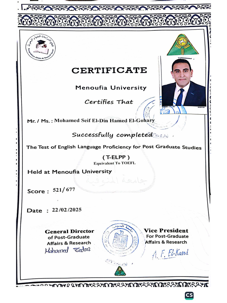 Mohamed Seif Eldin | PDF