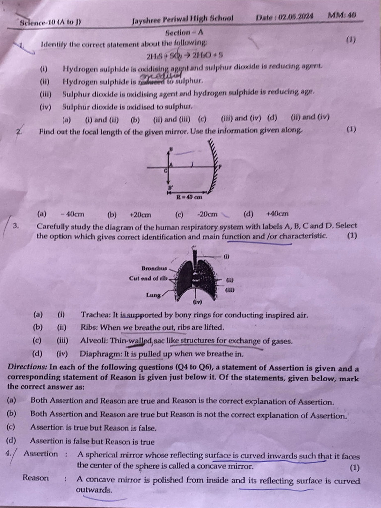Pre Board Paper | PDF
