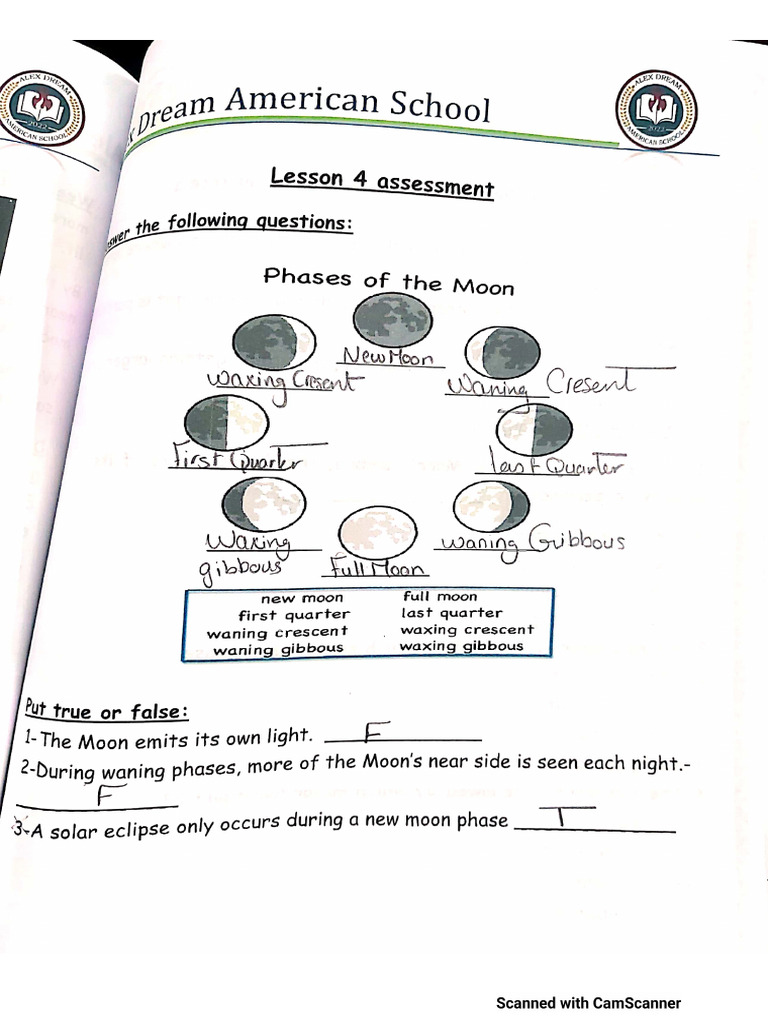 Model Answer Assessment | PDF