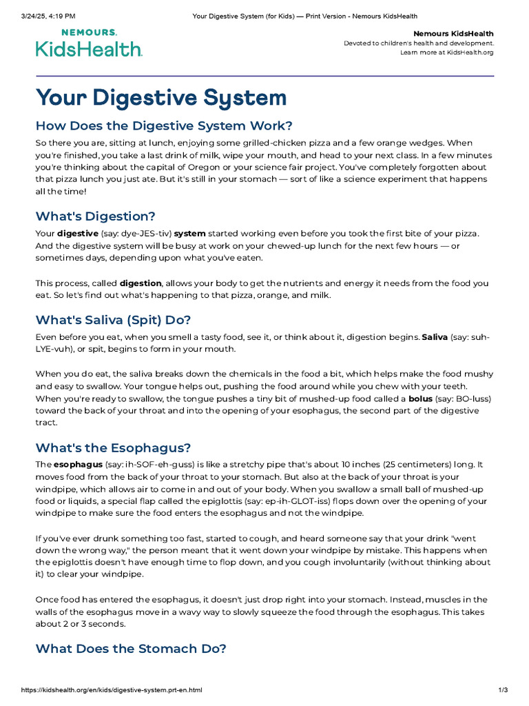 Digestive_System__for_Kids__Nemours_KidsHealth_MYP_1 (1) | PDF ...
