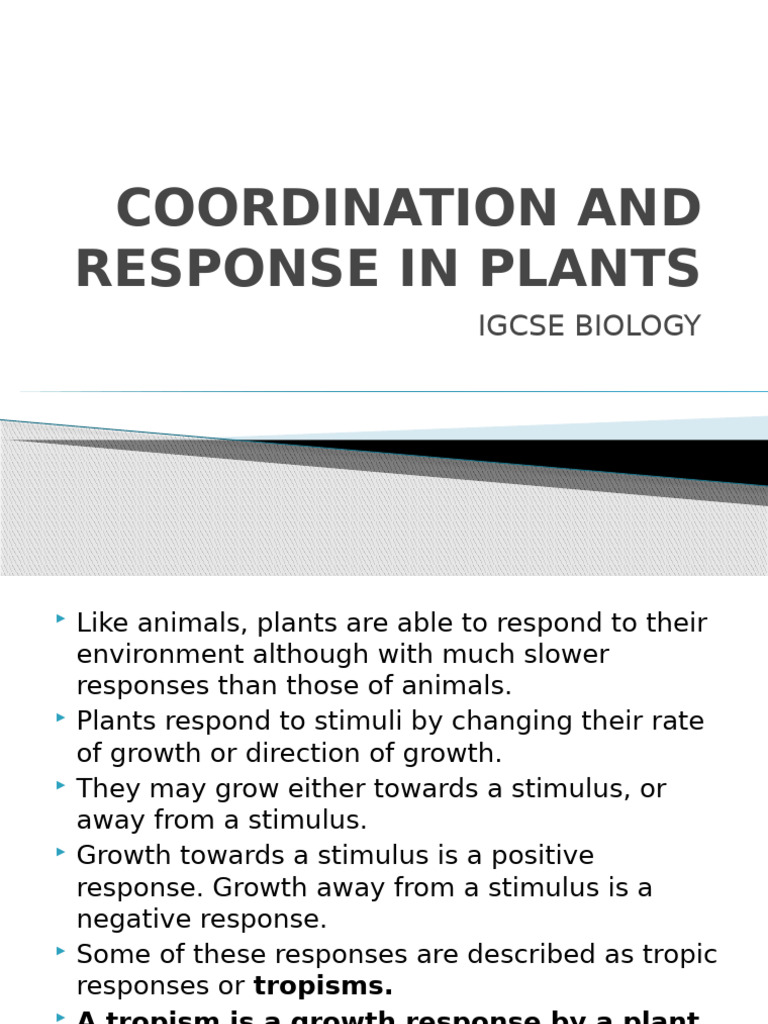 Plant Responses: Tropisms and Auxins | PDF | Auxin | Root