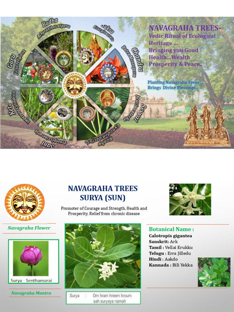 Navaghara Tree | PDF | Planets In Astrology