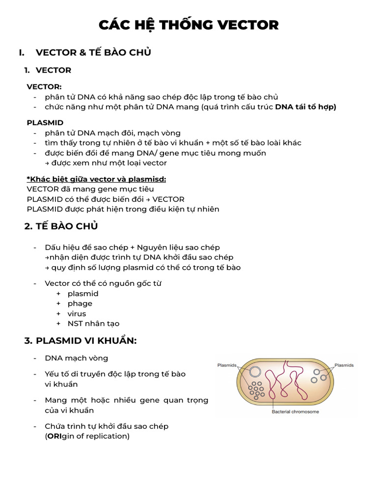 Vector | PDF