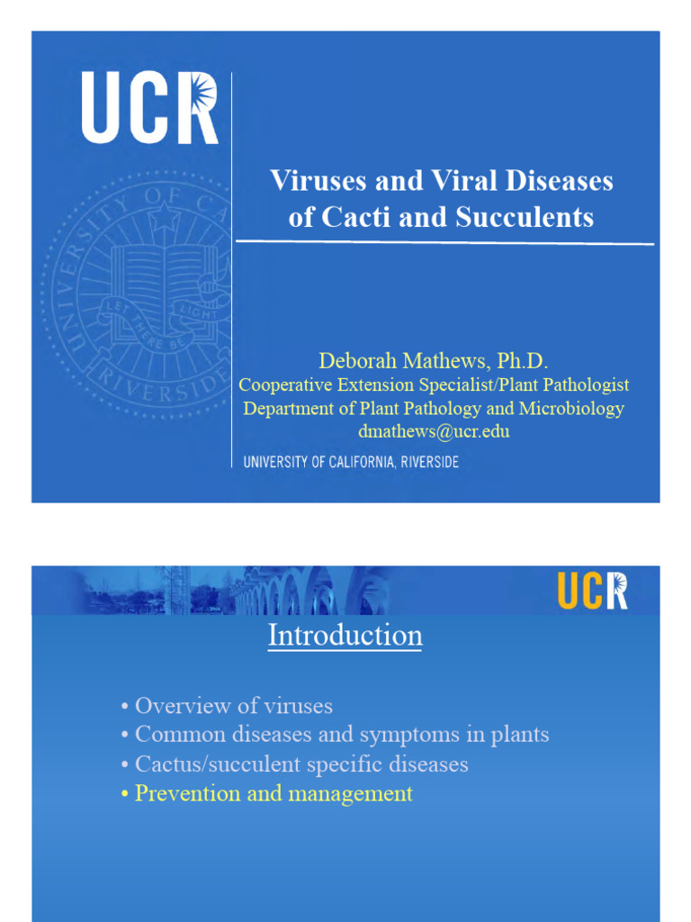 Plant Viruses | PDF | Plant Virus | Virus