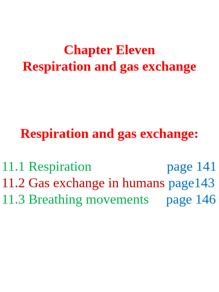 Human Gas Exchange and Respiration | PDF | Lung | Respiratory System
