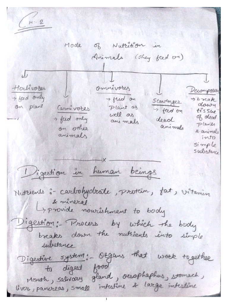 Sci CH 2 Notes | PDF