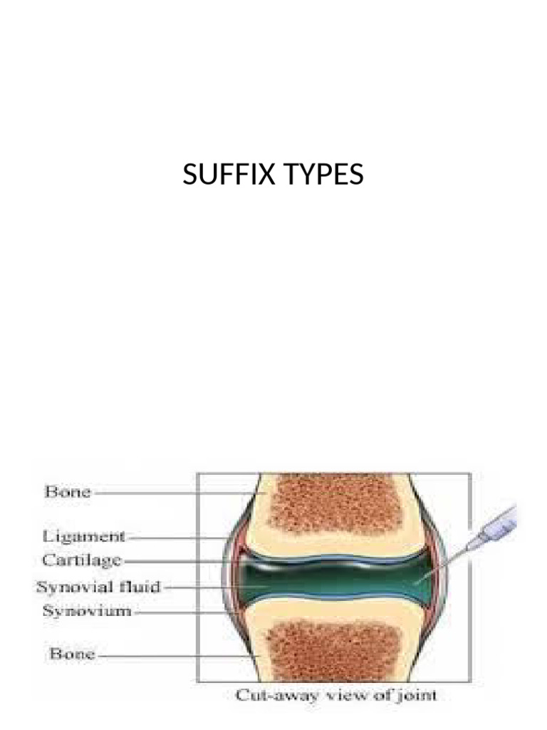Medical Suffix Definitions | PDF