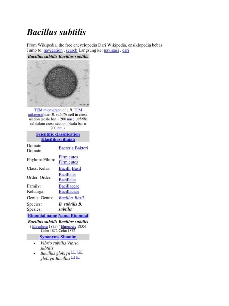 Bacillus Subtilis | PDF | Basilus | Bakteri