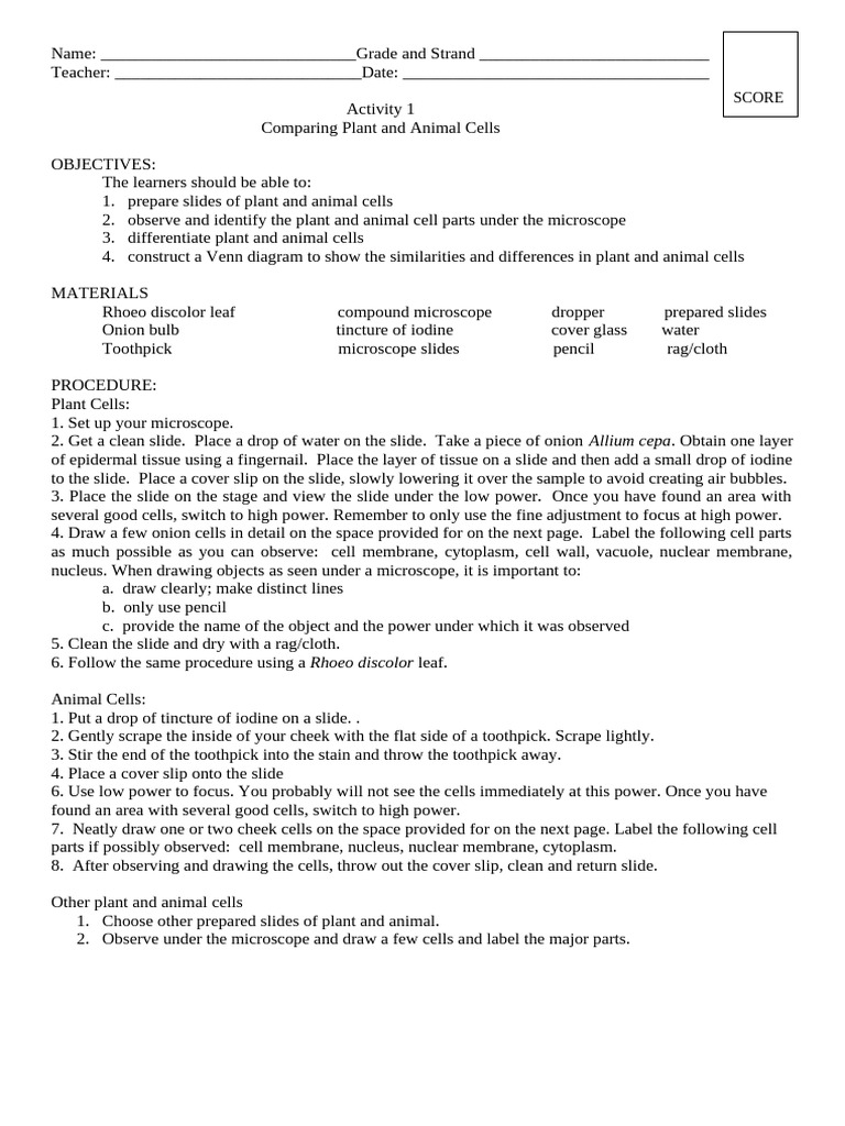 Activity 1 Plant and Animal Cells | PDF | Cell (Biology) | Onion