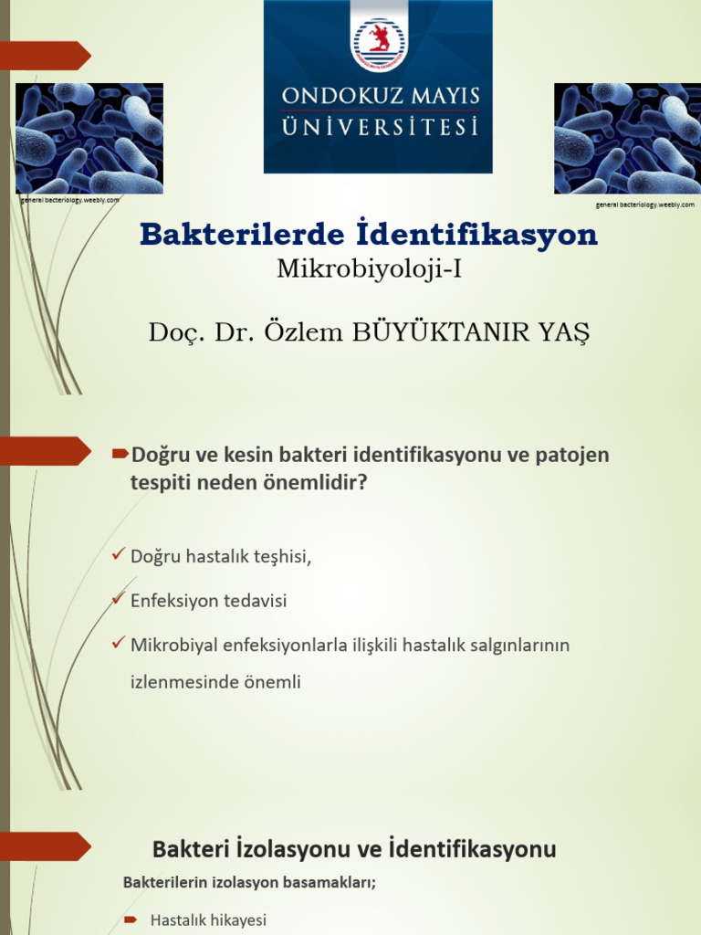 Mikro Lab 6-Bakterilerin İdentifikasyonu-2022 | PDF