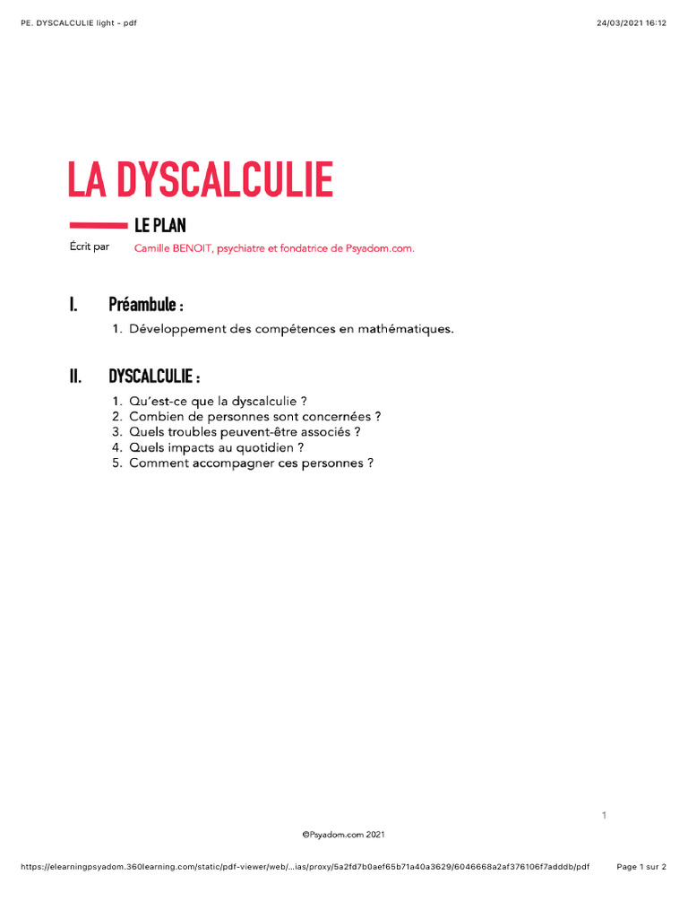 Ob 9f0f95 Dyscalculie | PDF