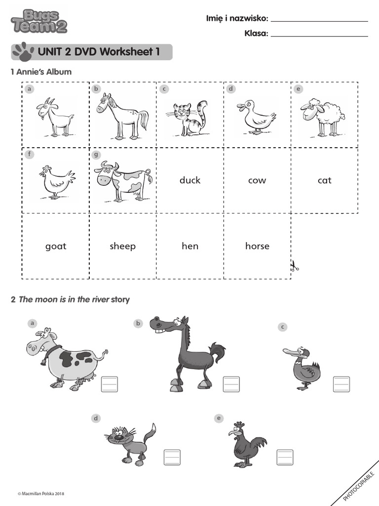 Unit 2 Kids' Worksheet Activities | PDF | Animals And Humans ...