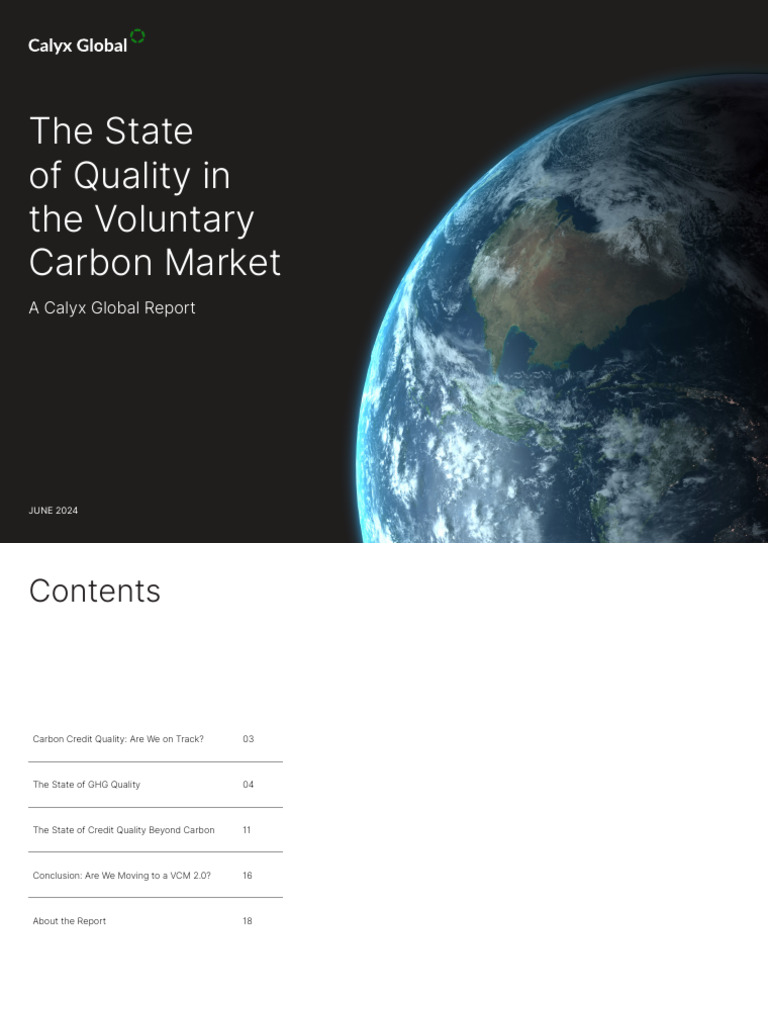 Calyx Global State of Quality in the VCM 2024 | PDF | Climate Change Mitigation | Natural ...