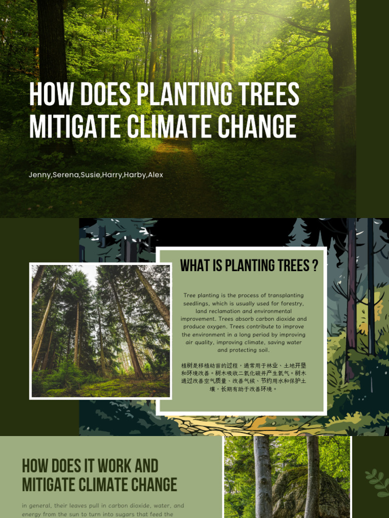 Benefits and Challenges of Tree Planting | PDF | Climate Change Mitigation | Climate Change