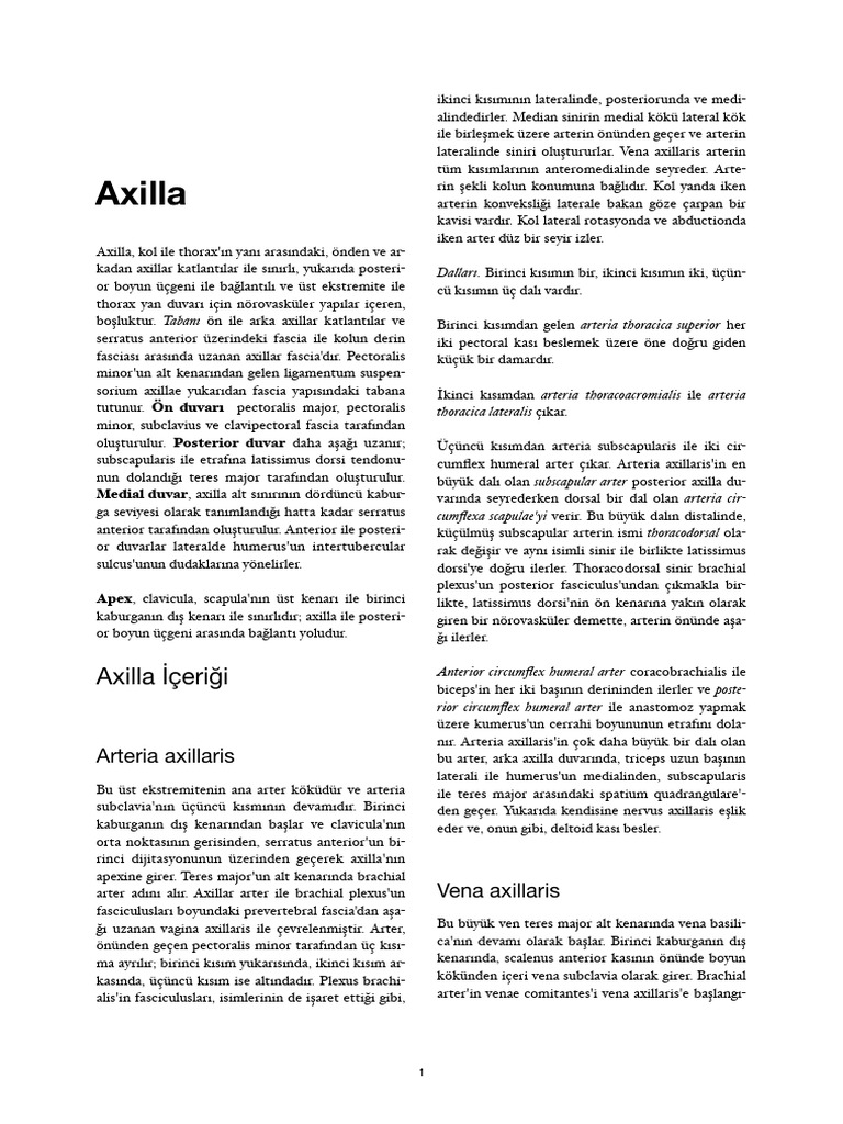 Axilla | PDF
