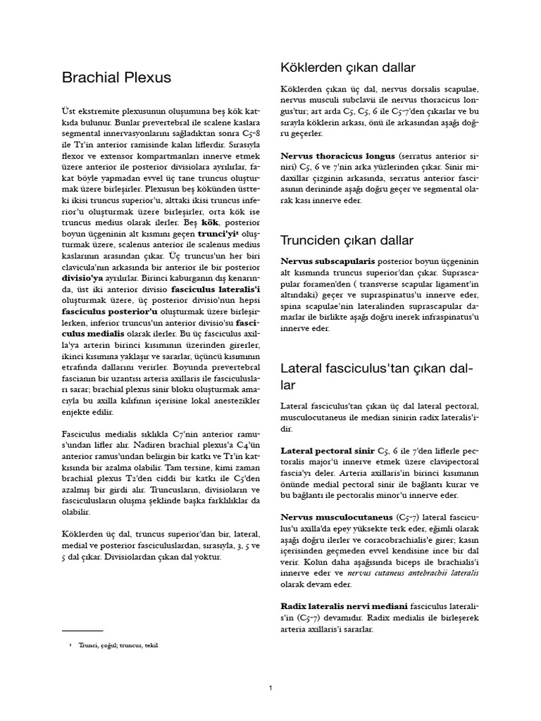 Brachial Plexus | PDF