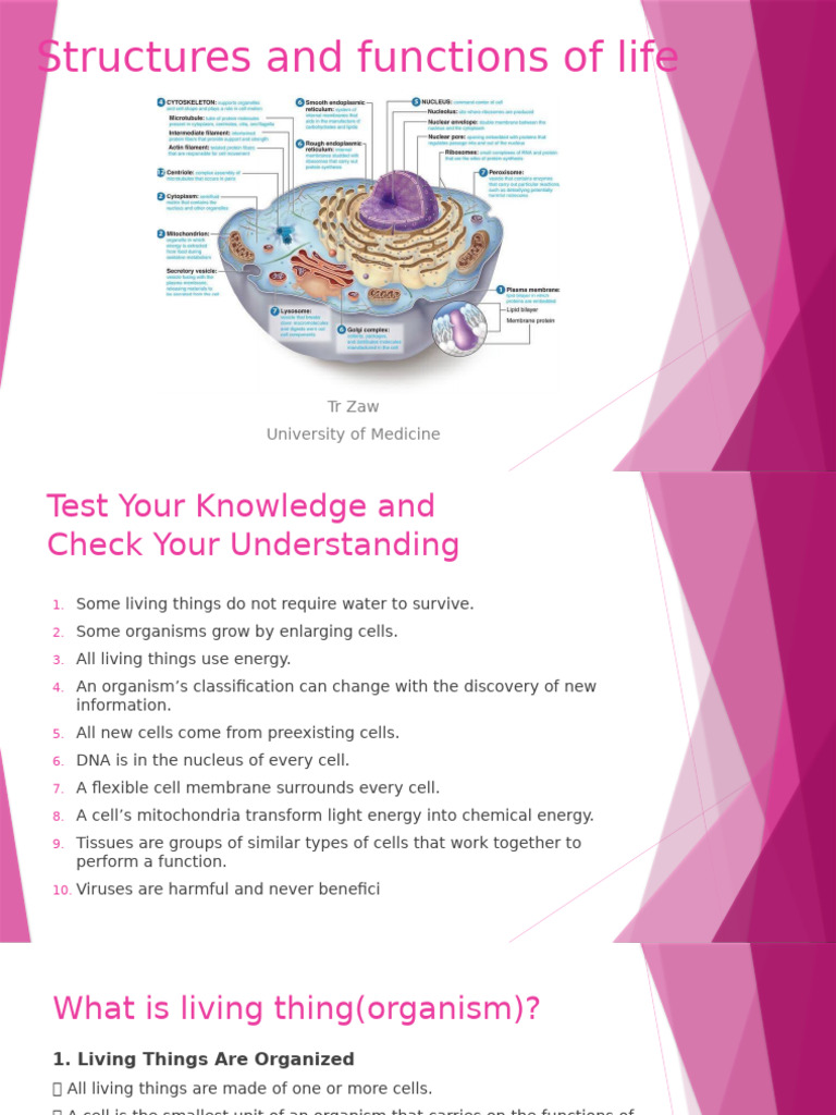 Cell Characteristics and Functions | PDF | Cell (Biology) | Nucleotides