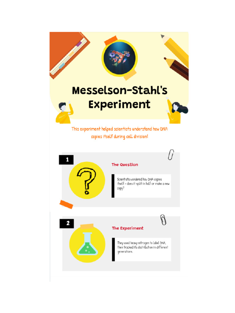 Infographic BBIO | PDF