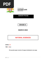 Ems Grade 8 Term 1 Controlled Test Question JTG 2024 | PDF | Debits And ...