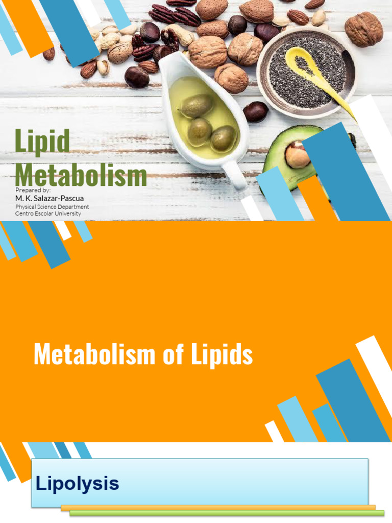 Lipid Metabolism and ATP Calculation | PDF | Ketosis | Adenosine ...