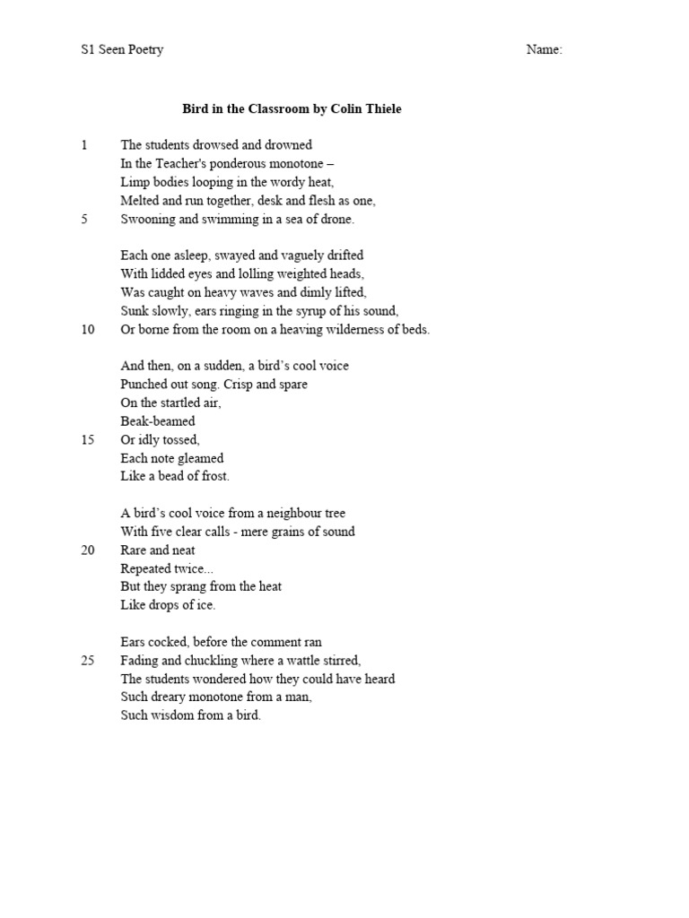 Bird in The Classroom by Colin Thiele | PDF