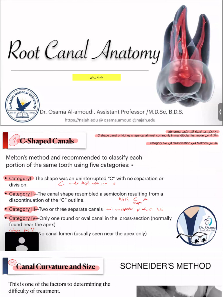 3 - Root Canal Anomalies and Embryologic Malformations | PDF | Dental ...
