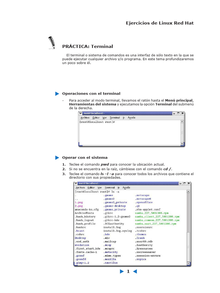 Ejercicios de Linux Red Hat: Operaciones Con El Terminal | PDF