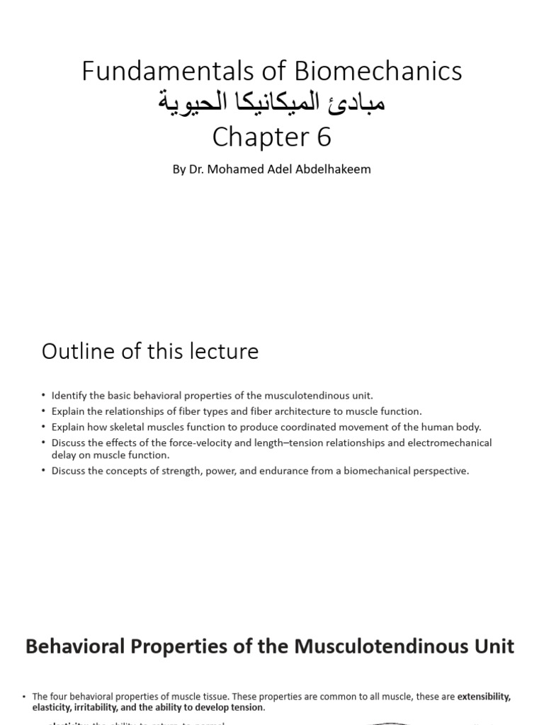 Biomechanics: Muscle Function Essentials | PDF | Skeletal Muscle ...