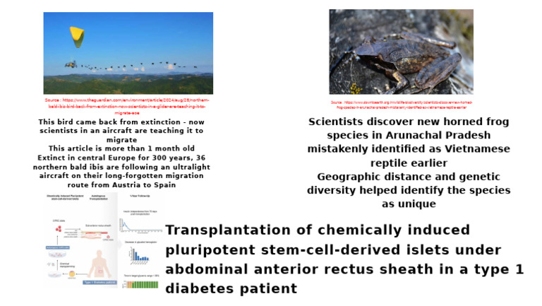 This Bird Came Back From Extinction - Now Scientists in An Aircraft Are ...