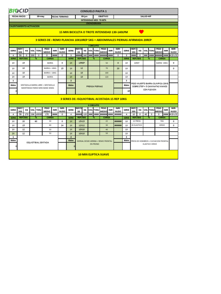 PAUTA | PDF | Entrenamiento con pesas