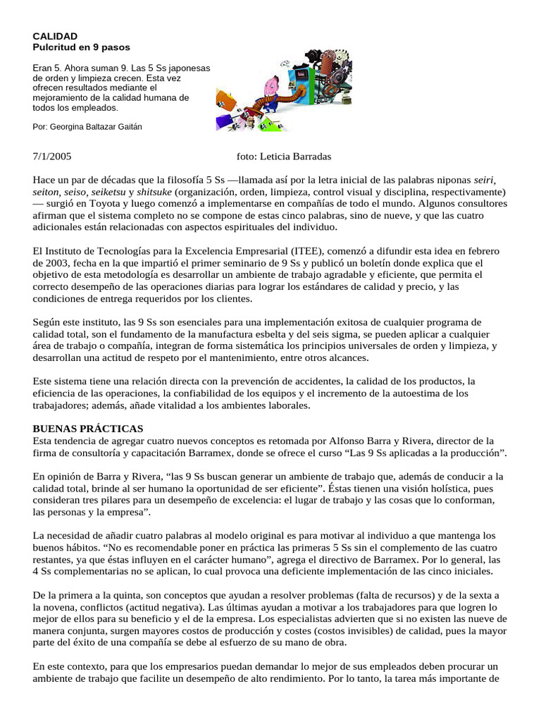 Os 9S's | PDF | Business | Lean Manufacturing