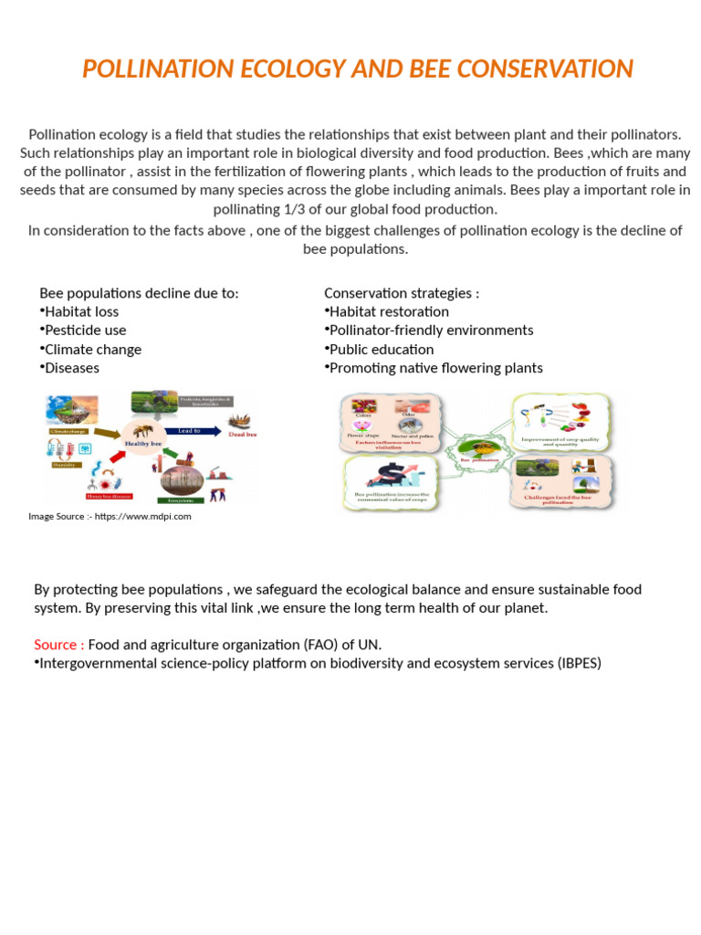Pollination Ecology and Bee Conservation | PDF