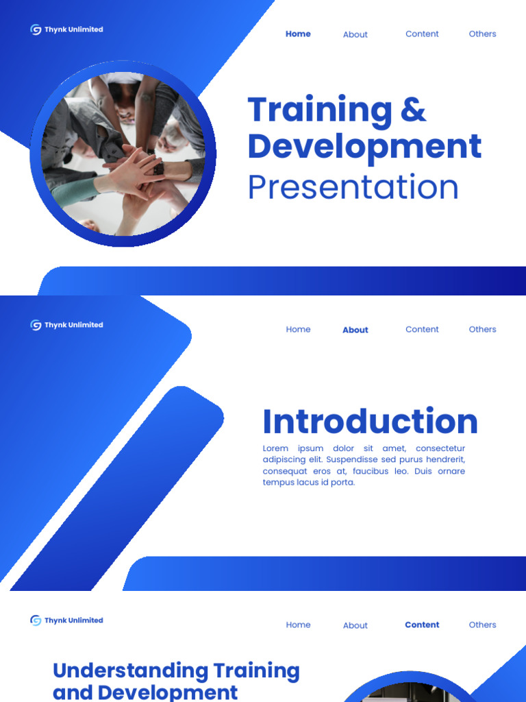 Training and Development Overview | PDF