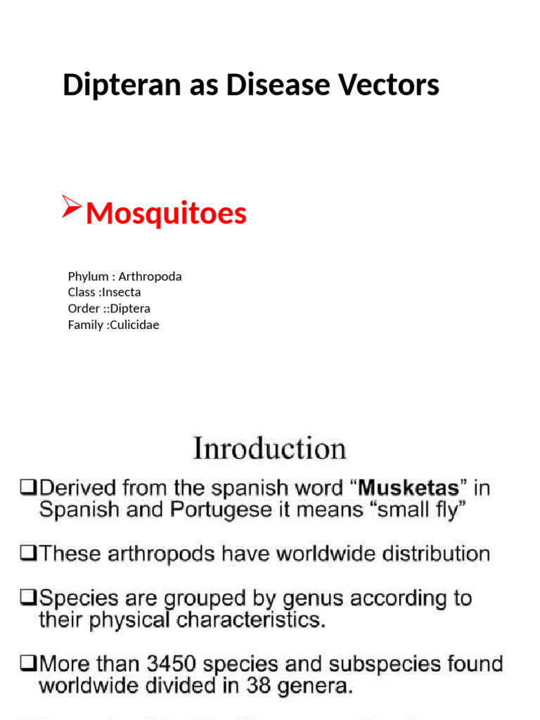 Aedes Mosquito: Disease Vector Insights | PDF | Mosquito | Zika Fever