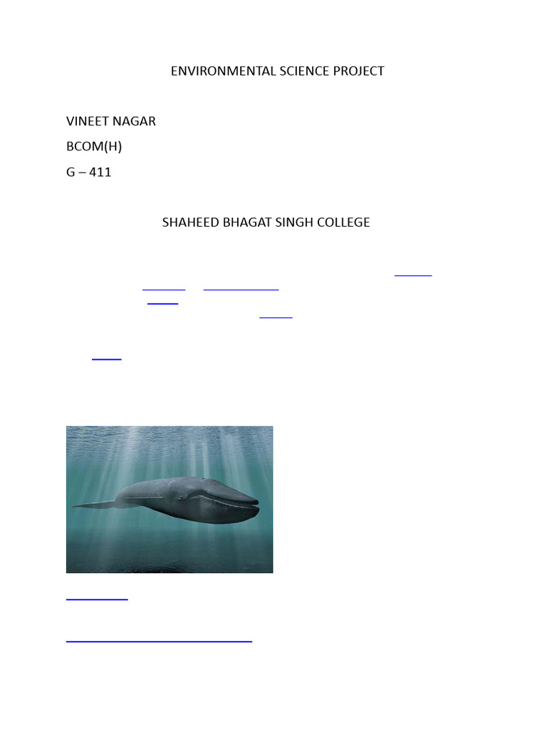 Environmental Science Project Whale 2 | PDF | Endangered Species | Whales