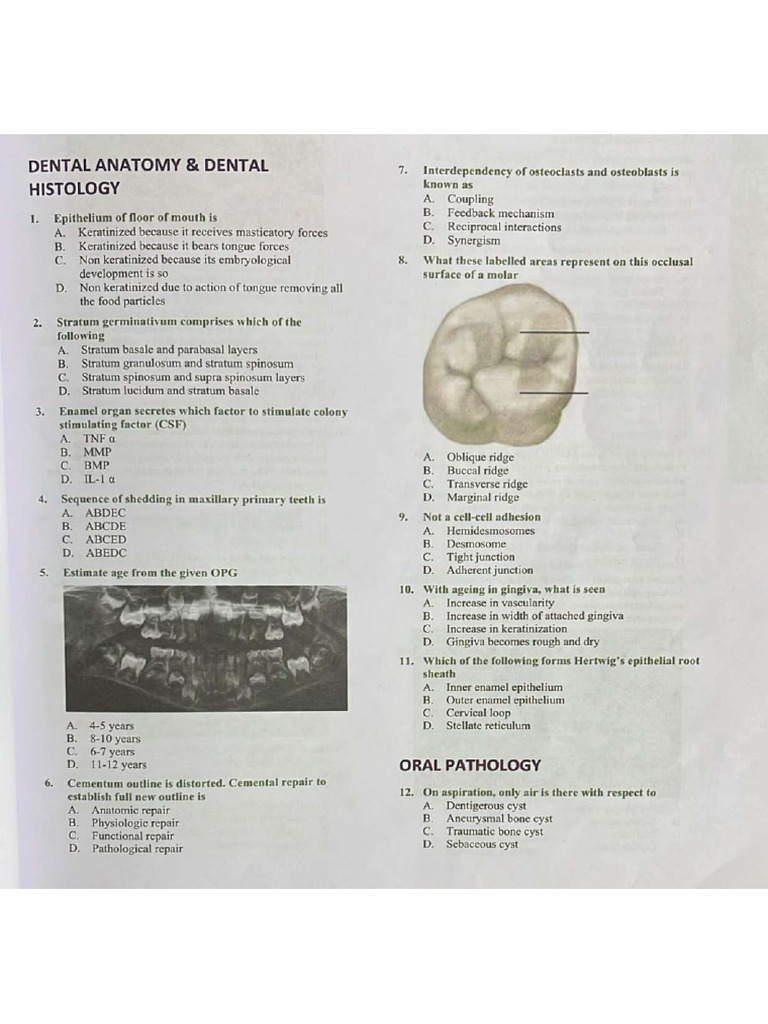 DH 2024 | PDF