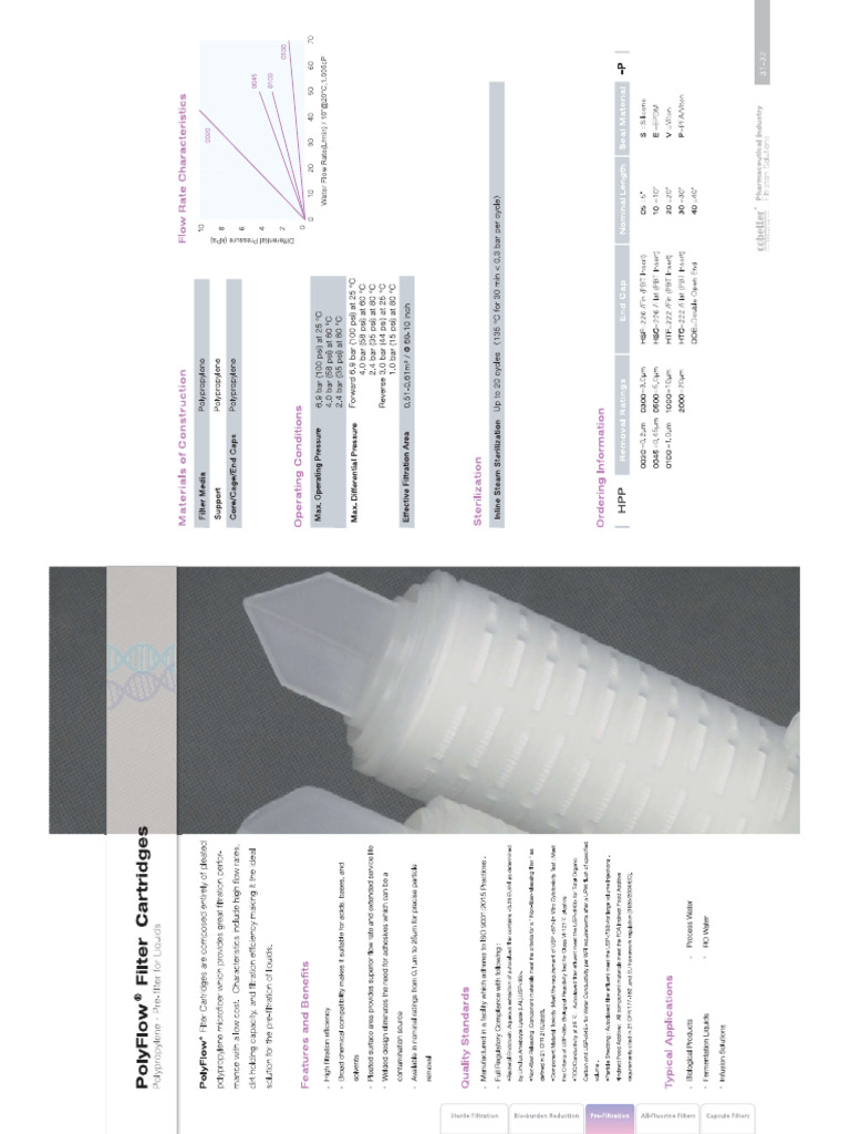 08 Polyflow HPP | PDF
