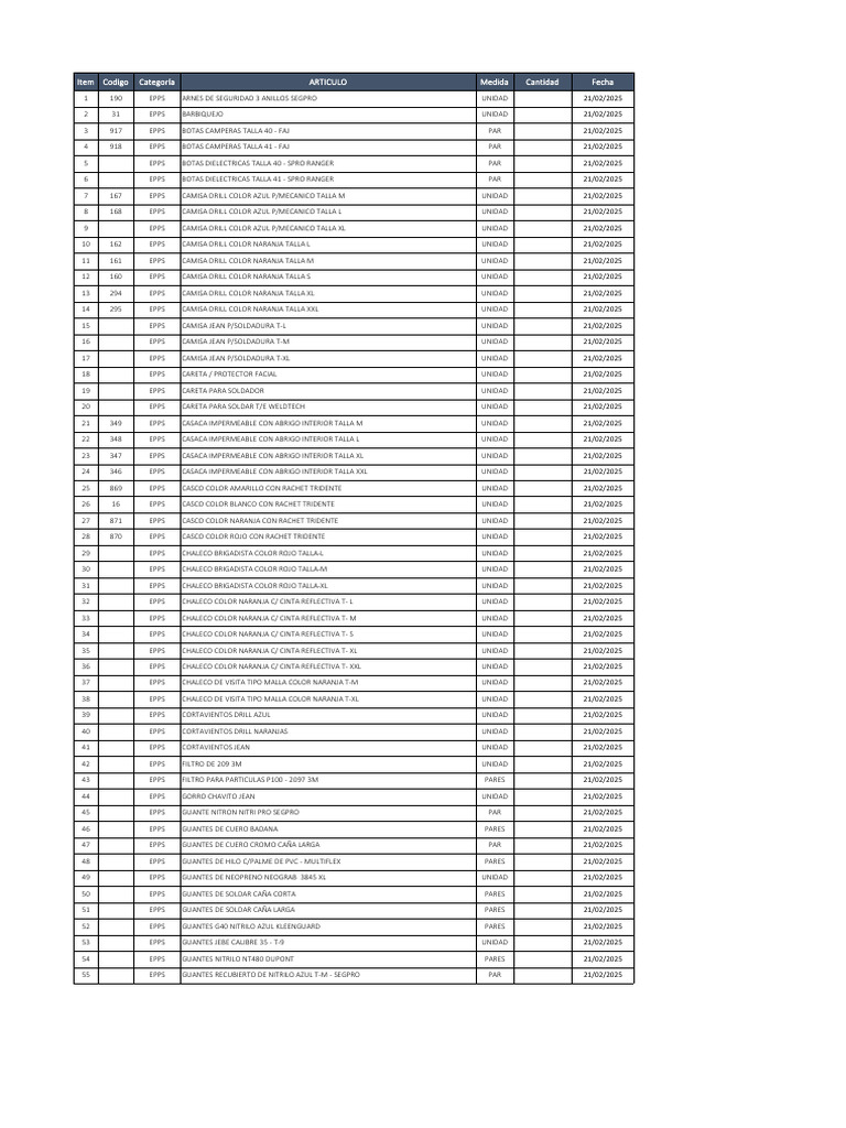 Inventario de EPPs, Al 21-02-2025 | PDF