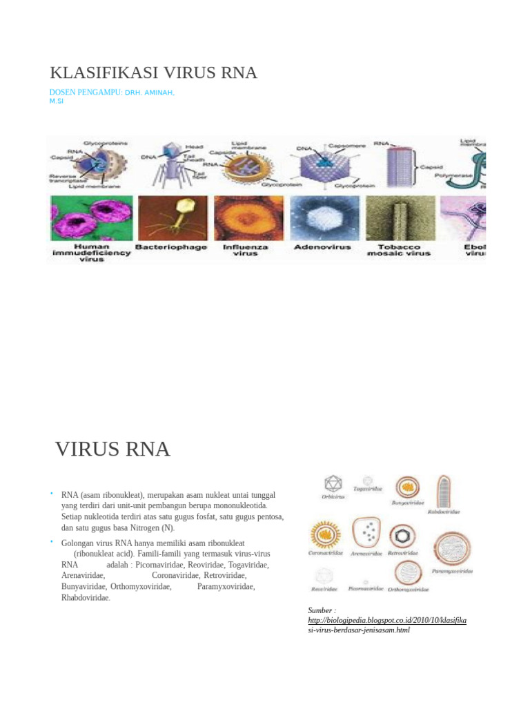 04 Klasifikasi Virus Rna | PDF