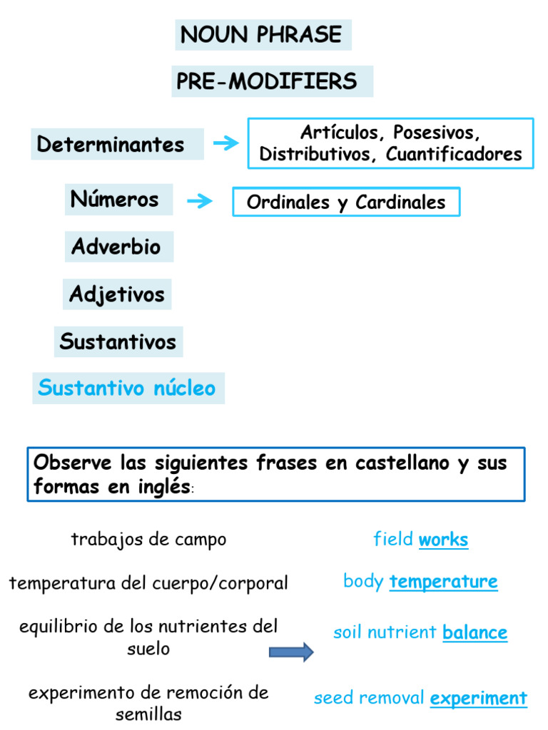 The Noun Phrase pre-modifiers 2 | PDF