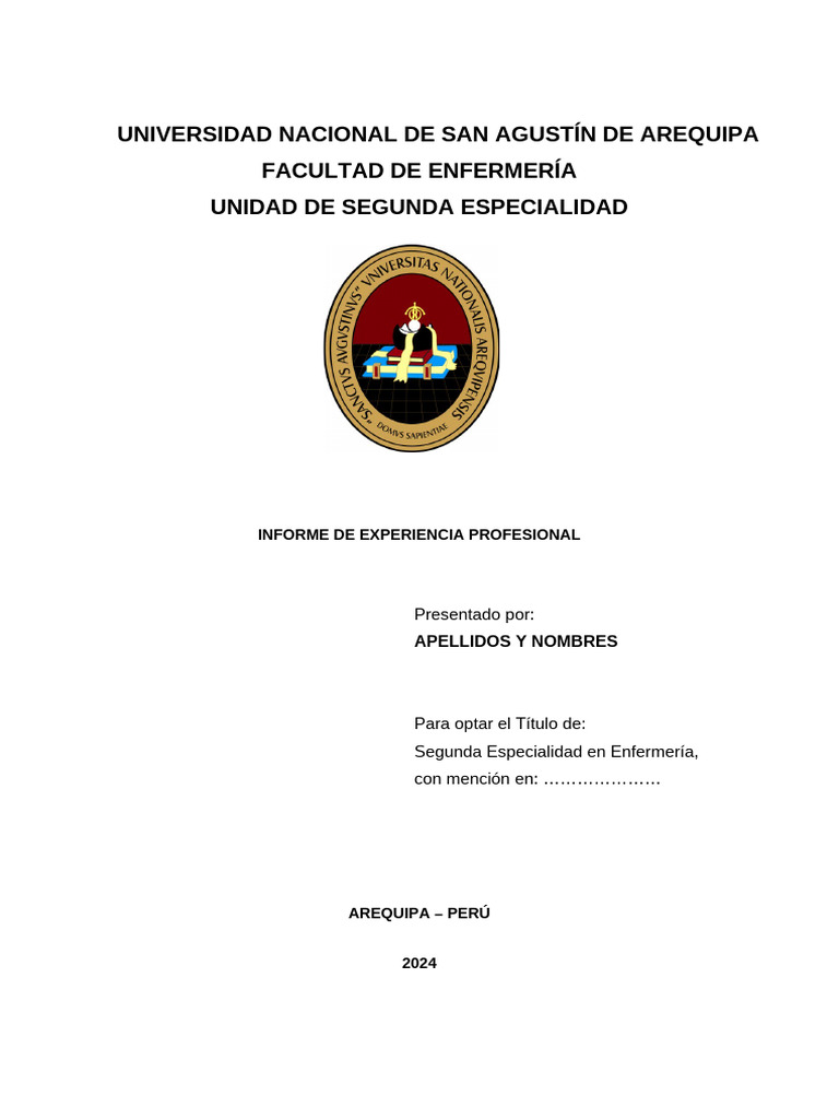 Formato 2 - Informe de Experiencia Profesional | PDF