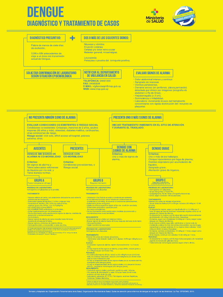 Dengue Diagnostico y Tratamiento | PDF
