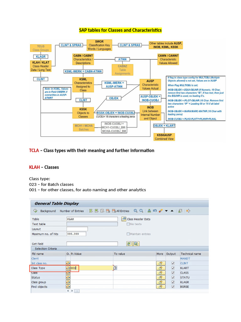 SAP Class and Characteristic Tables Guide | PDF | Computer Programming ...