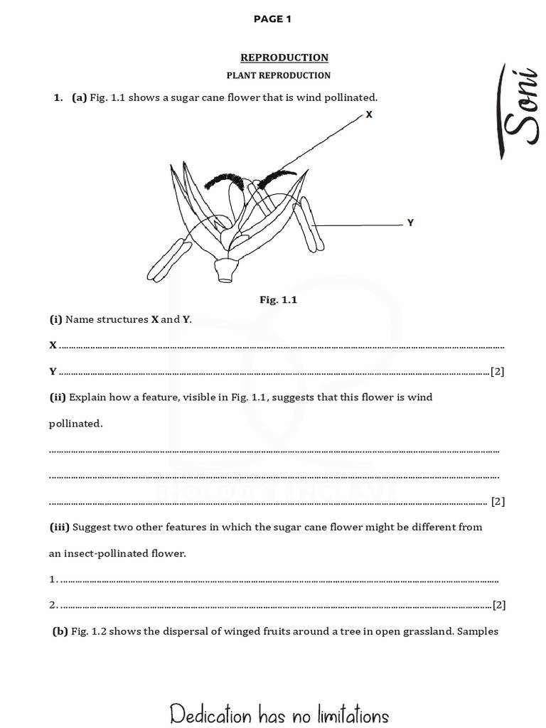 Reproduction Worksheet A4 | PDF | Flowers | Pollination