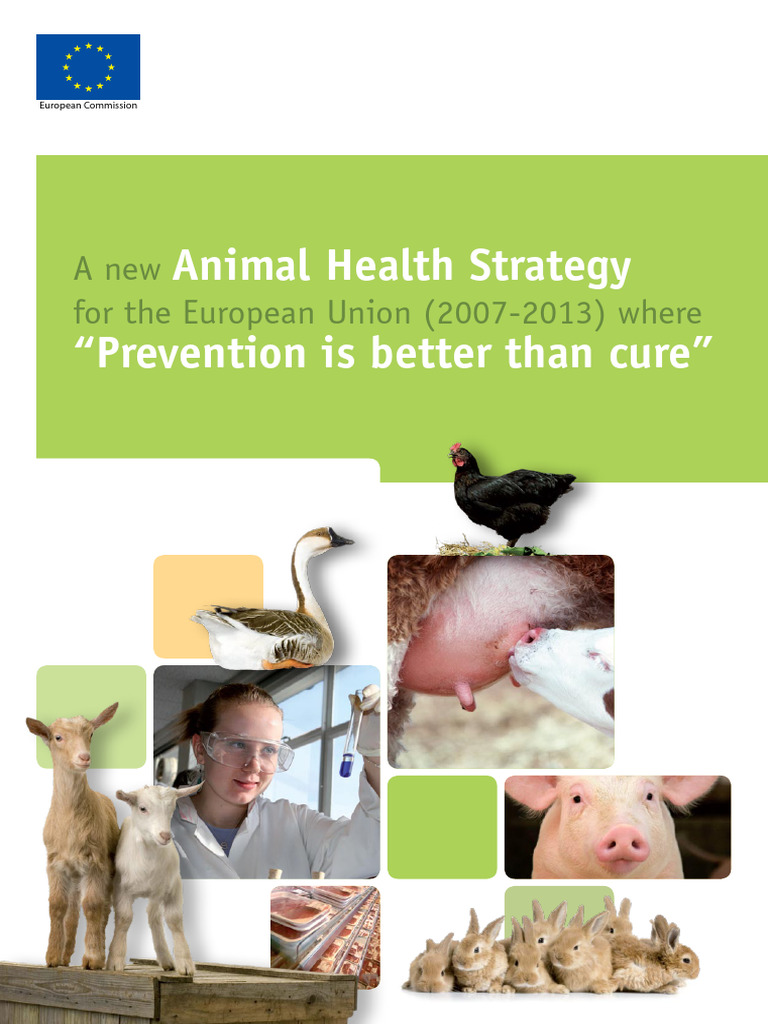 EU_Animal_Health_Strategy__EN_ | PDF | European Union | Risk