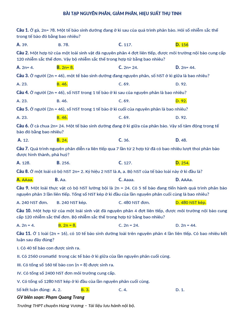 THẾ DUY BÀI TẬP NP GP TT | PDF