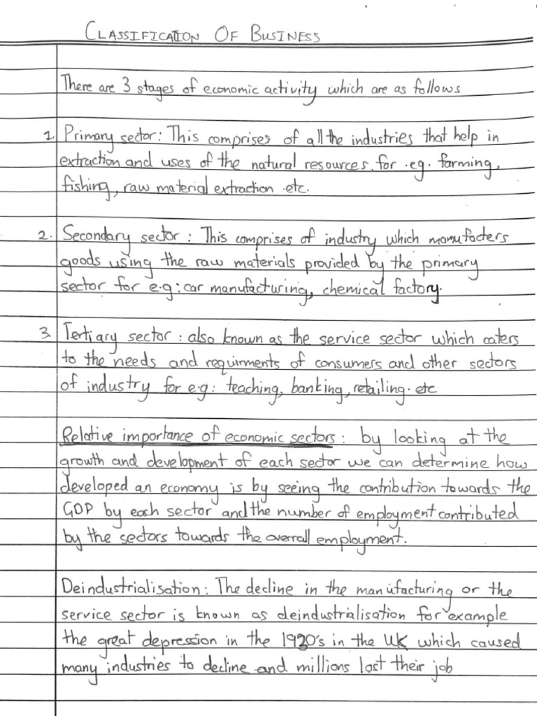 Classification of Business | PDF