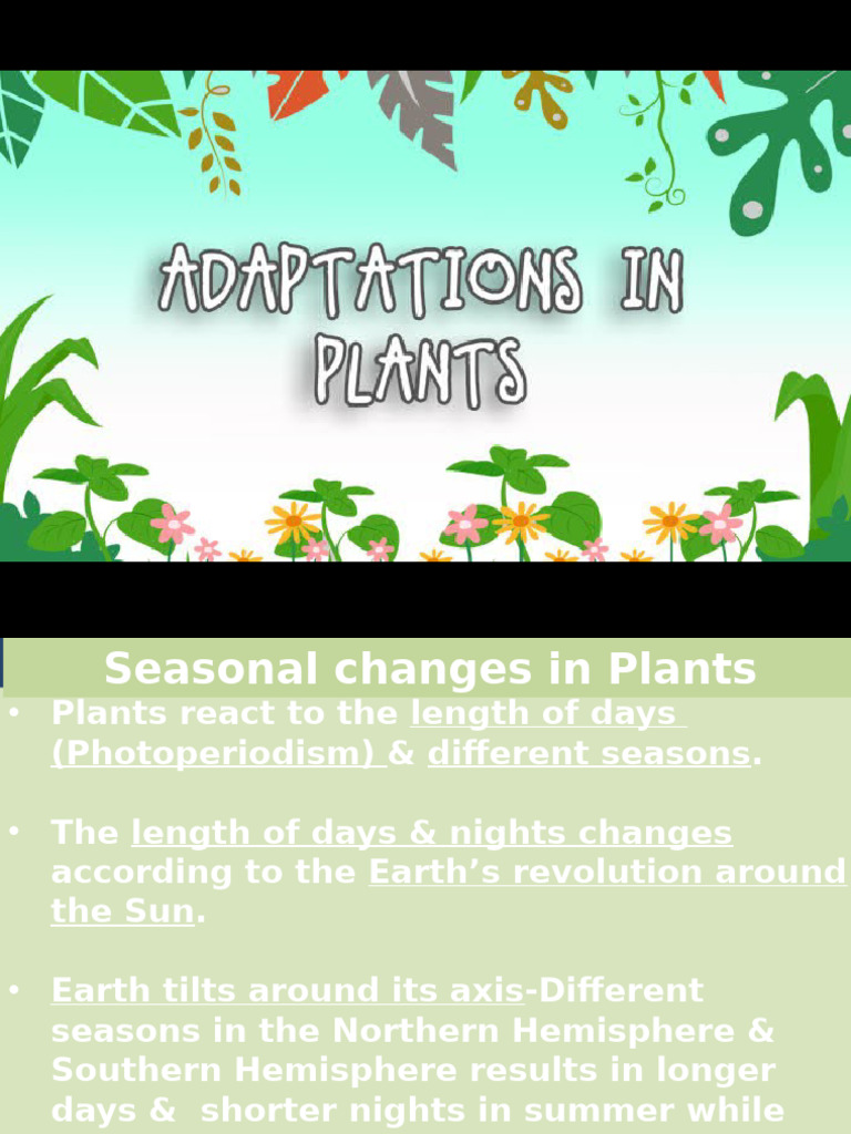 Seasonal Changes in Plant Adaptations | PDF