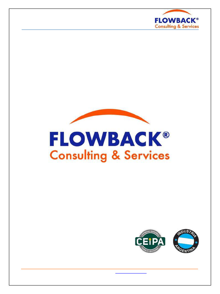 Catalogo Flowback | PDF | Bomba | Ingeniería mecánica